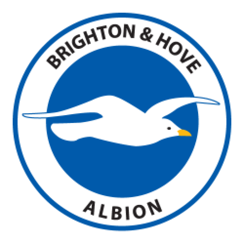 Brighton & Hove Albion tickets kopen? | Veilig & snel